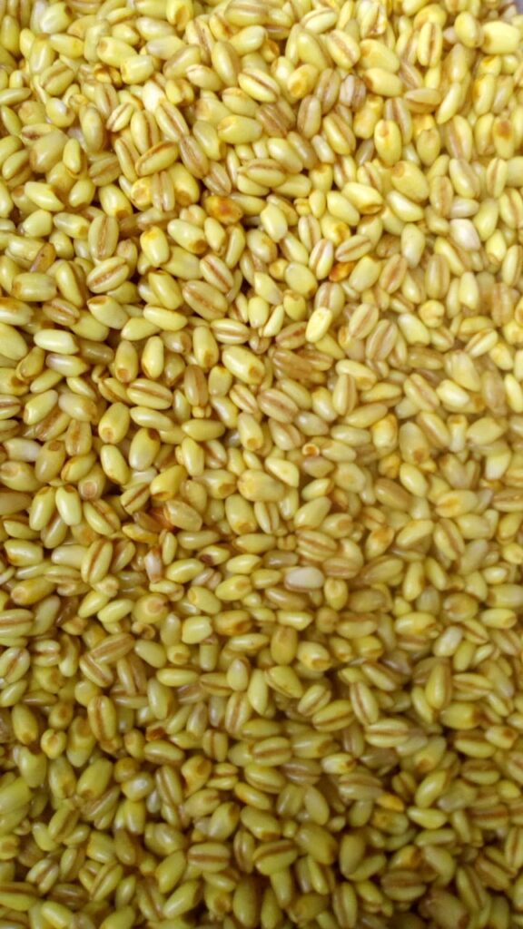 Trigo mote - Vironu | Venta de Granos y Menestras en Lima - Perú