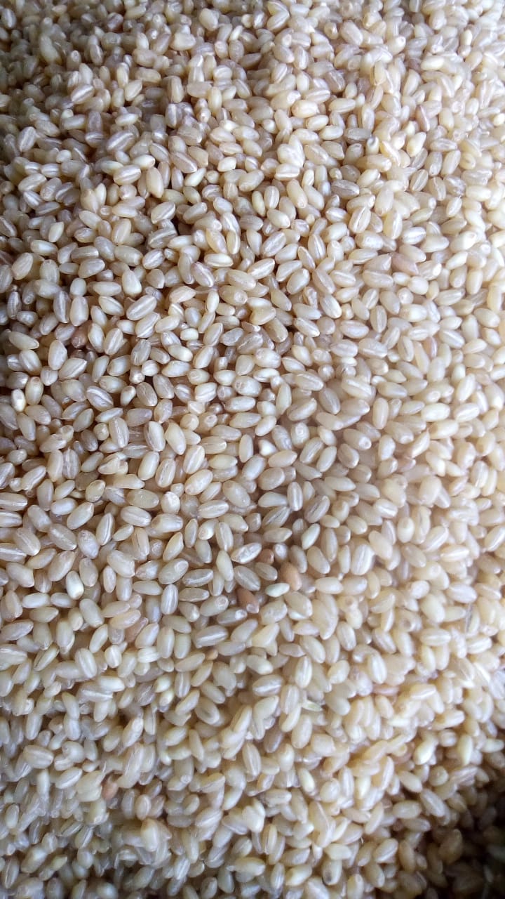 Trigo resbalando - Vironu | Venta de Granos y Menestras en Lima - Perú